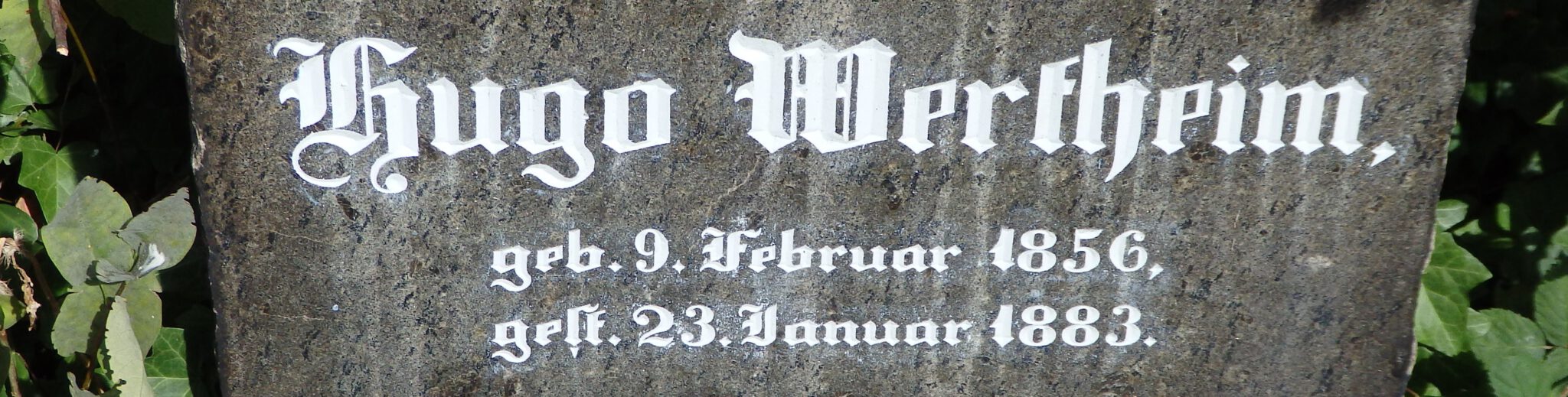 Zum Gedenken an die Novemberpogrome 1938 – Förderverein Historische ...